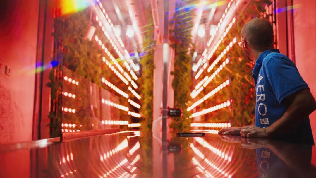 TFO | Séries, émissions et films en français sur demande