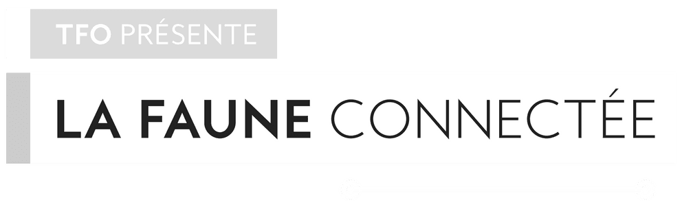 TFO | Séries, émissions et films en français sur demande