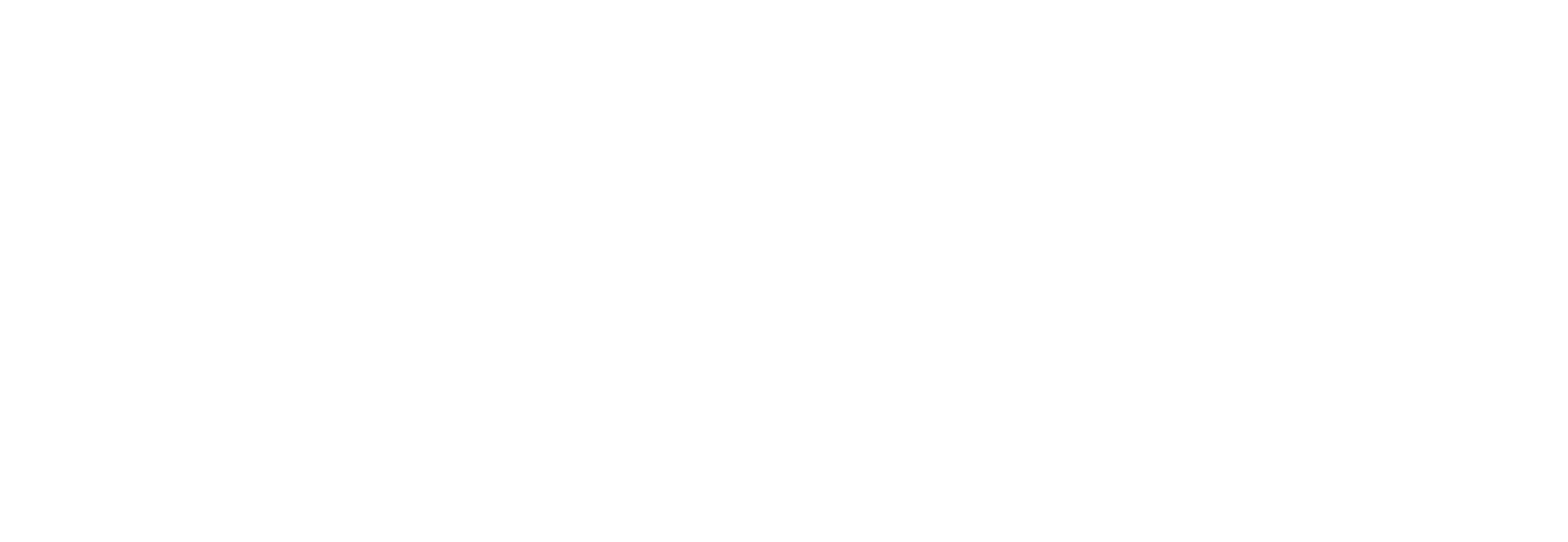 Gangnam Project, l'aventure K-pop | TFO